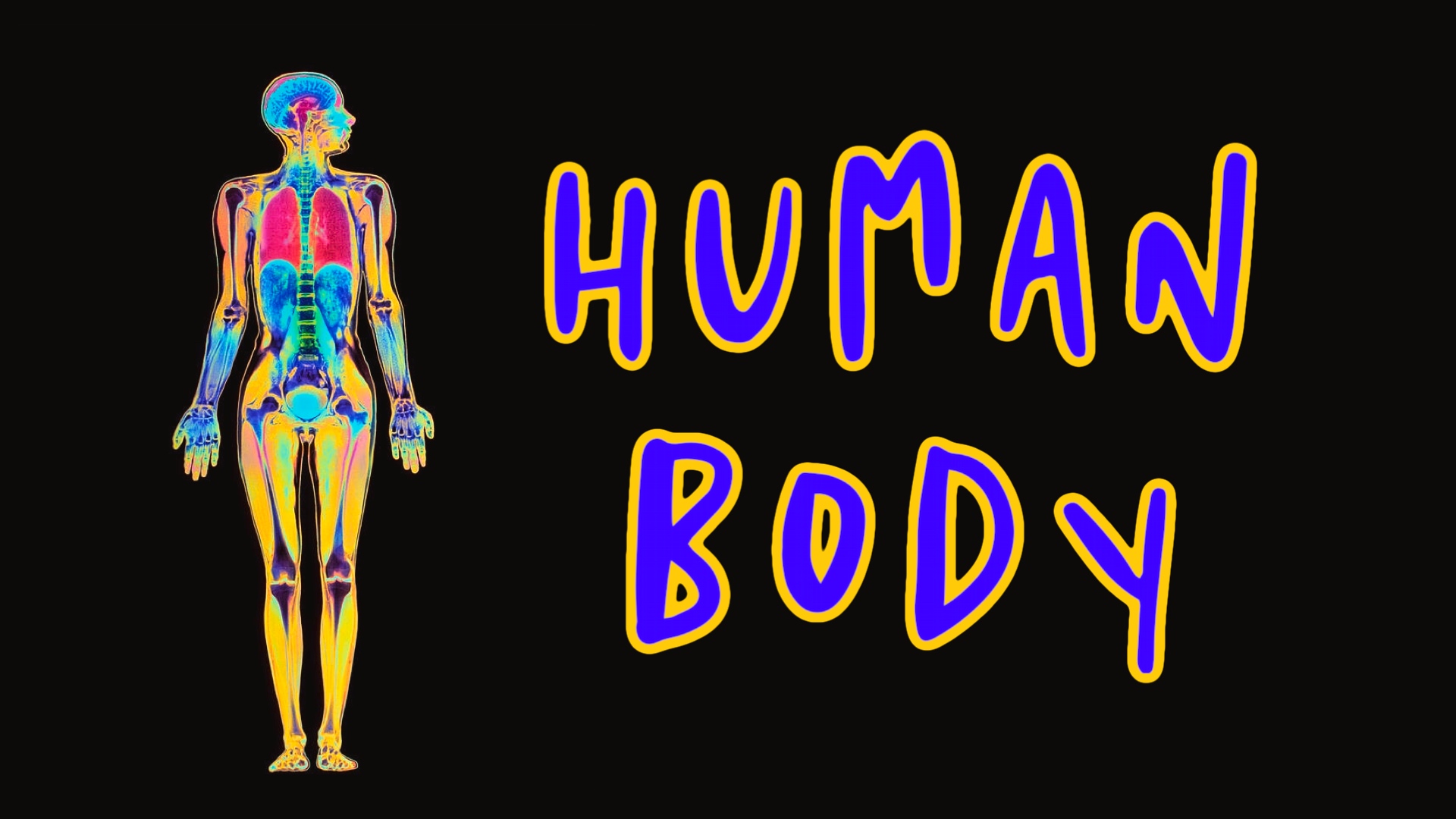 Human Body - KidNation